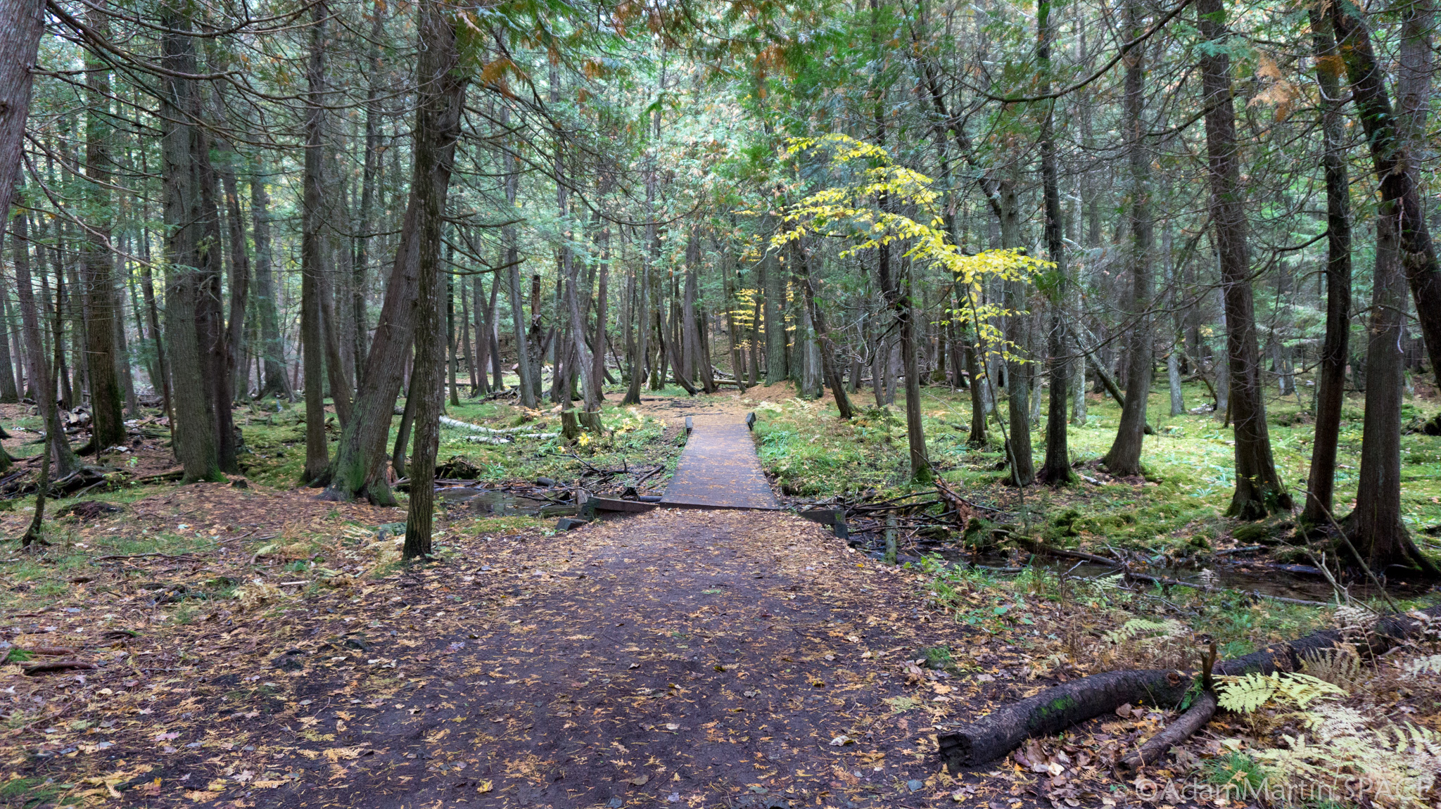 Menominee River State Recreation Area – AdamMartin.SPACE