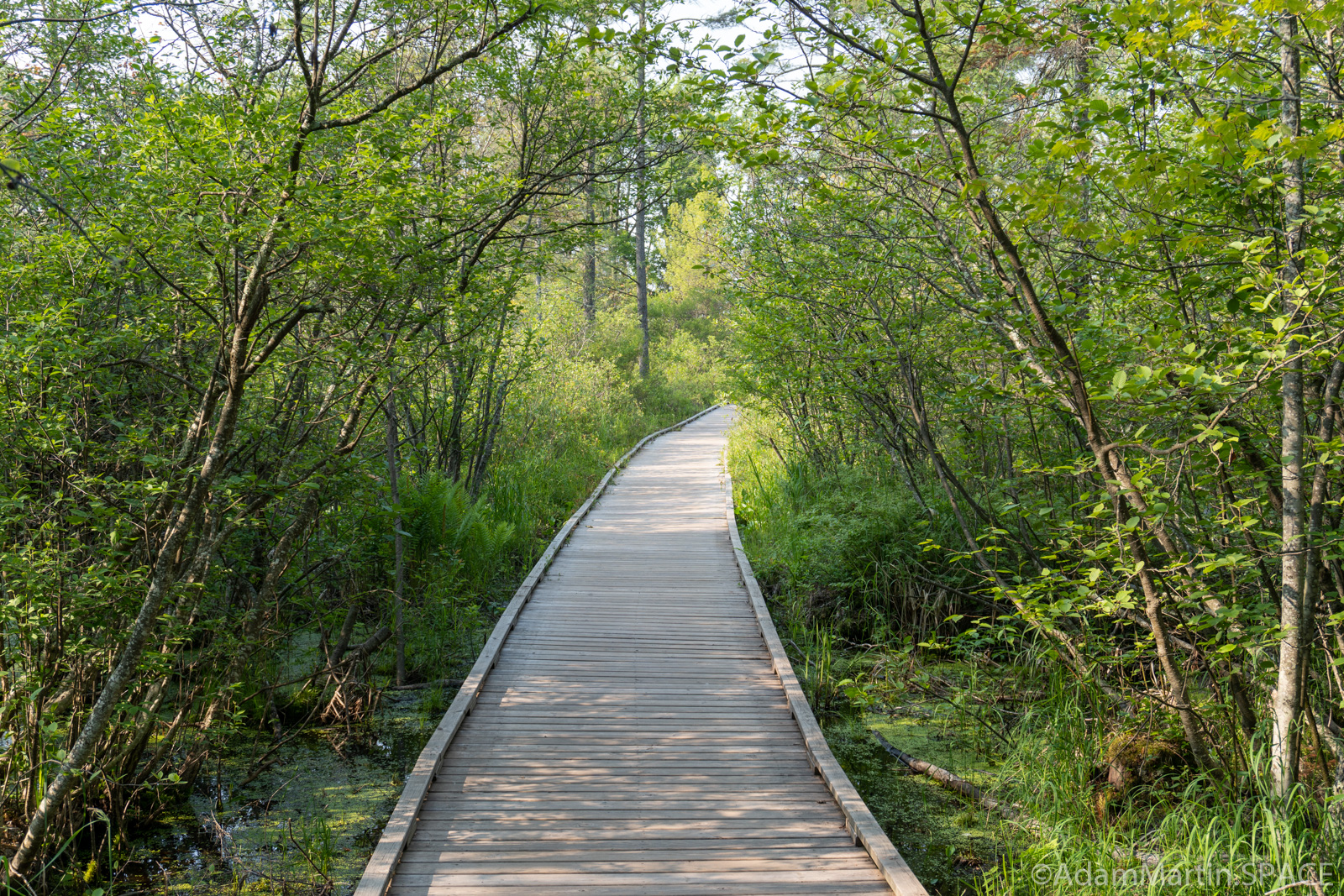 Big Bay State Park – Boardwalk Trail – AdamMartin.SPACE