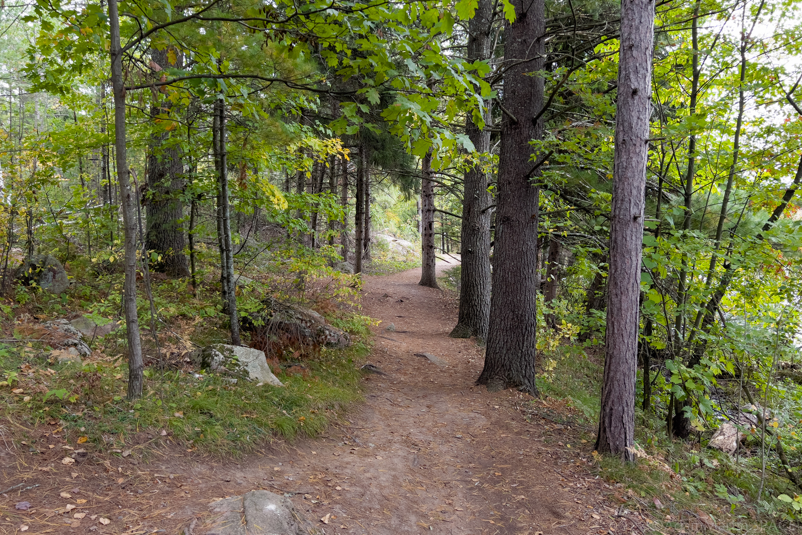 Slippery Rock Falls / Chute Pond County Park – AdamMartin.SPACE